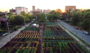 This area in Detroit is now America’s first self-sustainable agrihood