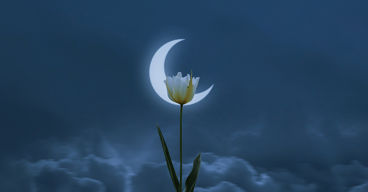 How To Plant A Magical Moon Garden For Summer Nights