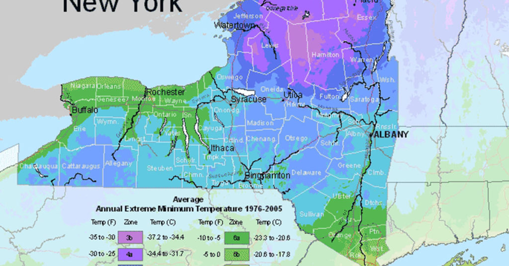 New York City, NY USDA Hardiness Zone Map & Plant Guide - The Garden ...