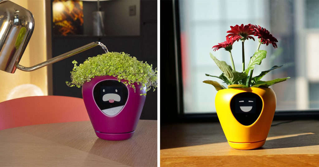 Lua Planter Lets Your Plants Tell You Their Mood - The Garden Magazine