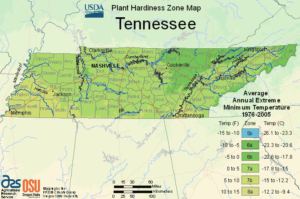 USDA Hardiness Zone Map For Tennessee - The Garden Magazine
