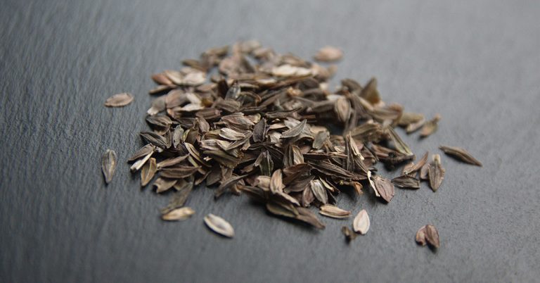 9 Reasons Your Seeds Are Struggling To Get Started And How To Fix It ...