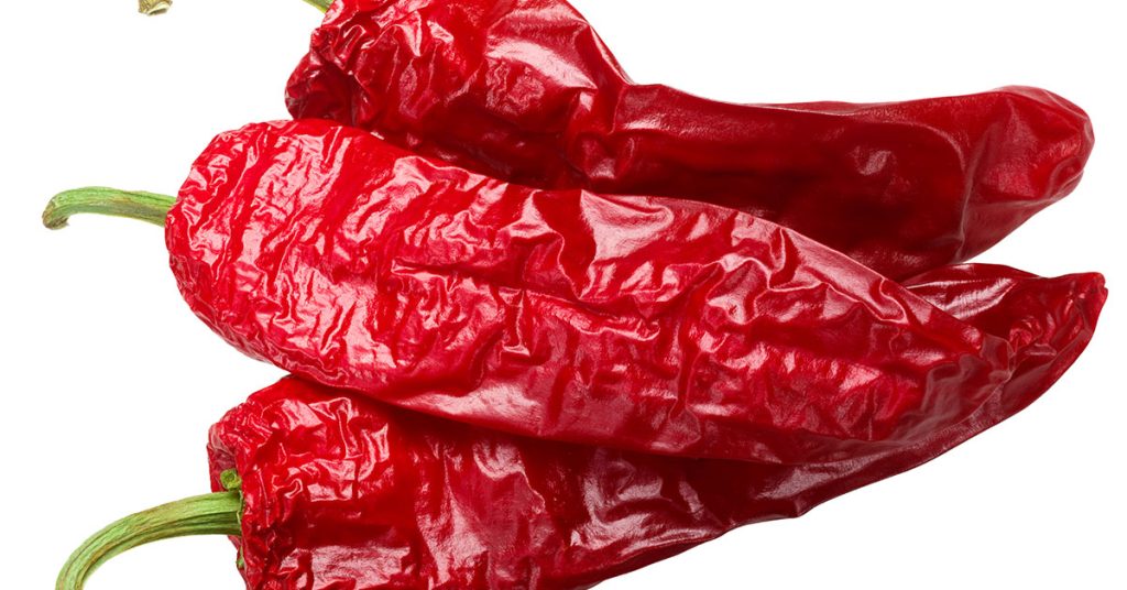 Aleppo Pepper Plant Growing & Care Guide - The Garden Magazine