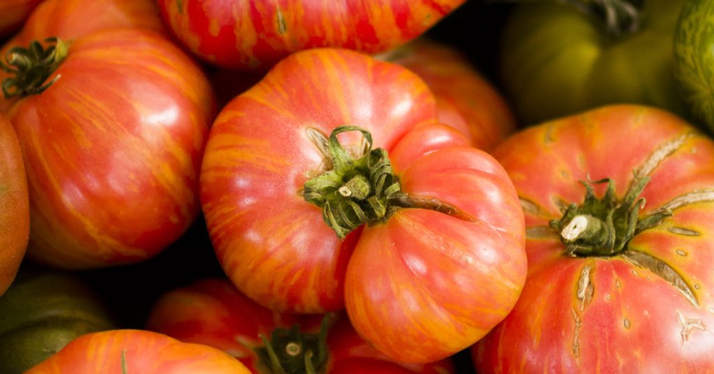 10 Easiest Tomato Varieties To Grow For Beginners - The Garden Magazine