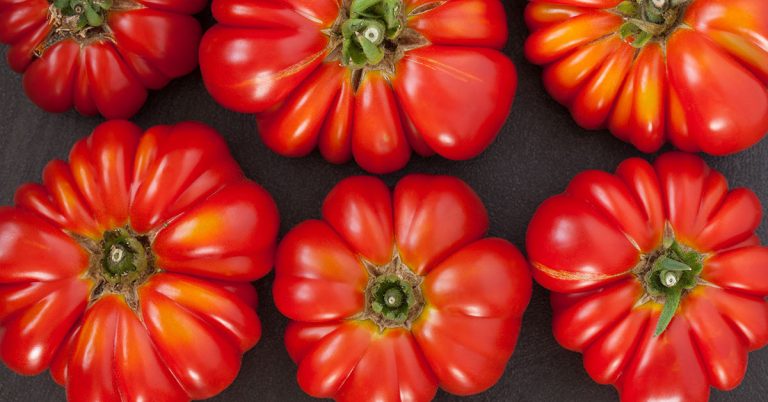 German Johnson Tomato Growing Guide - The Garden Magazine