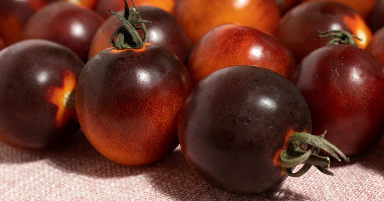 Strawberry Tomato Growing & Care Guide - The Garden Magazine