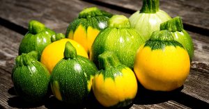 Eight Ball Zucchini Growing & Care - The Garden Magazine