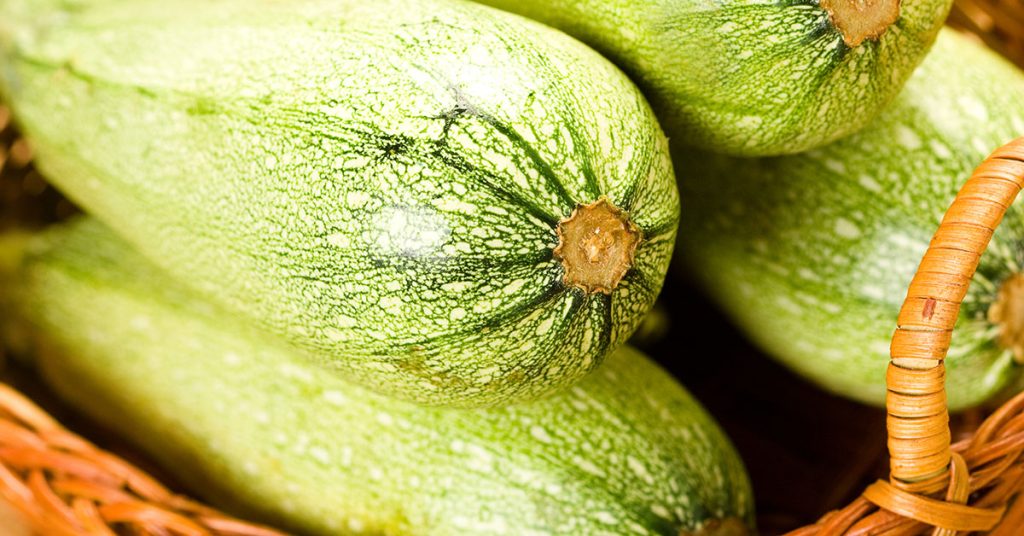 Lebanese Zucchini Growing & Care Guide - The Garden Magazine