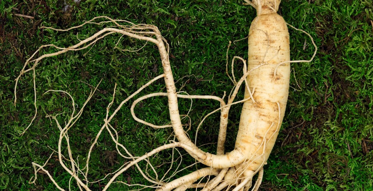 20 Medicinal Plants and Their Health Benefits + 10 Companion Plants To ...