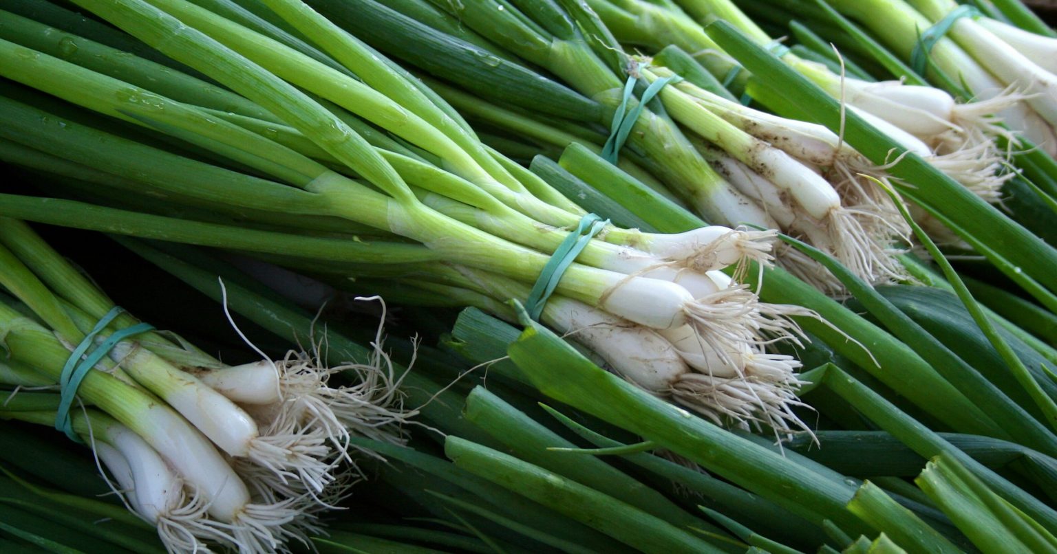 12 Vegetables That Continuously Produce All Year Long - The Garden Magazine