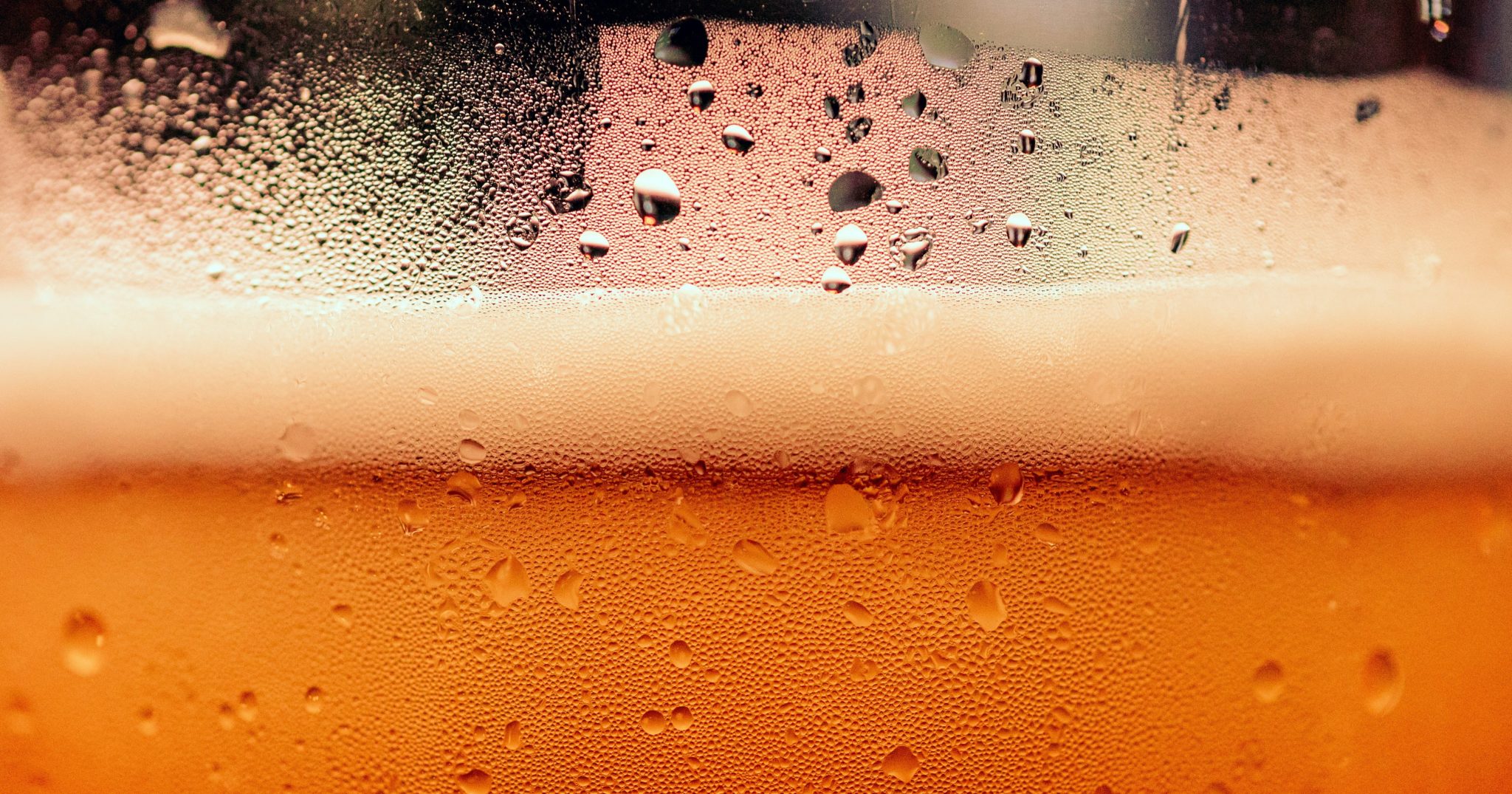 Why Salt Kills Slugs (And Why You Should Never Salt A Slug) - The ...