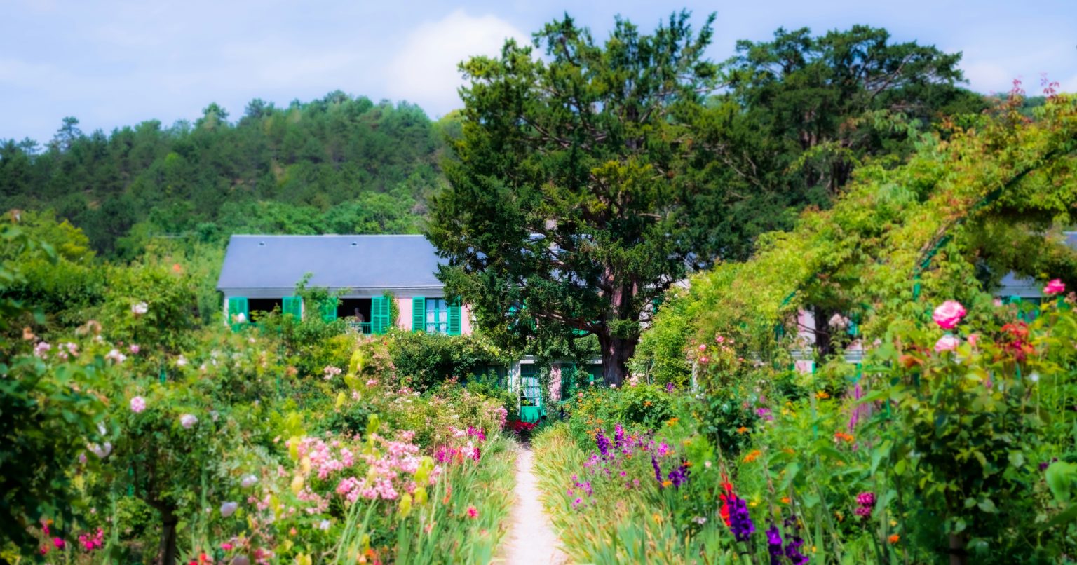 12 Reasons You Should Try Attracting Ladybugs To Your Garden - The ...