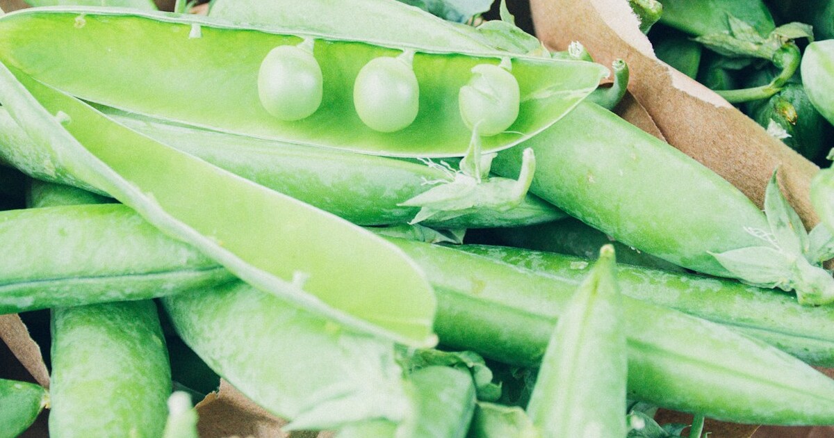 15 Great Companion Plants To Grow With Spinach - The Garden Magazine