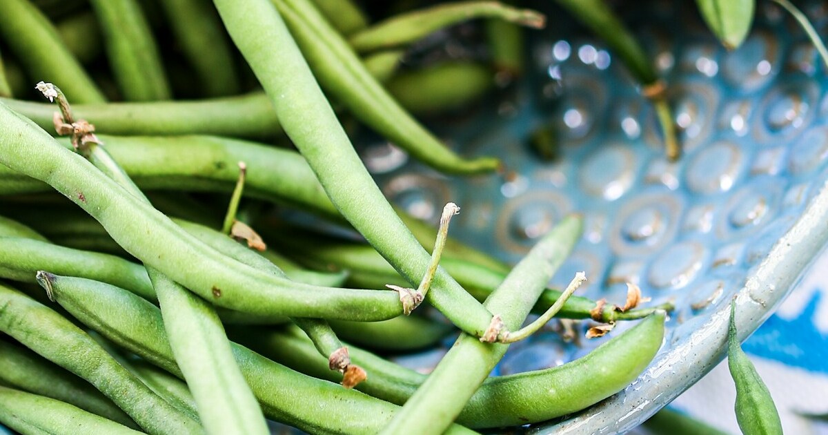 13 High-Yield Vegetables for Small Gardens - The Garden Magazine