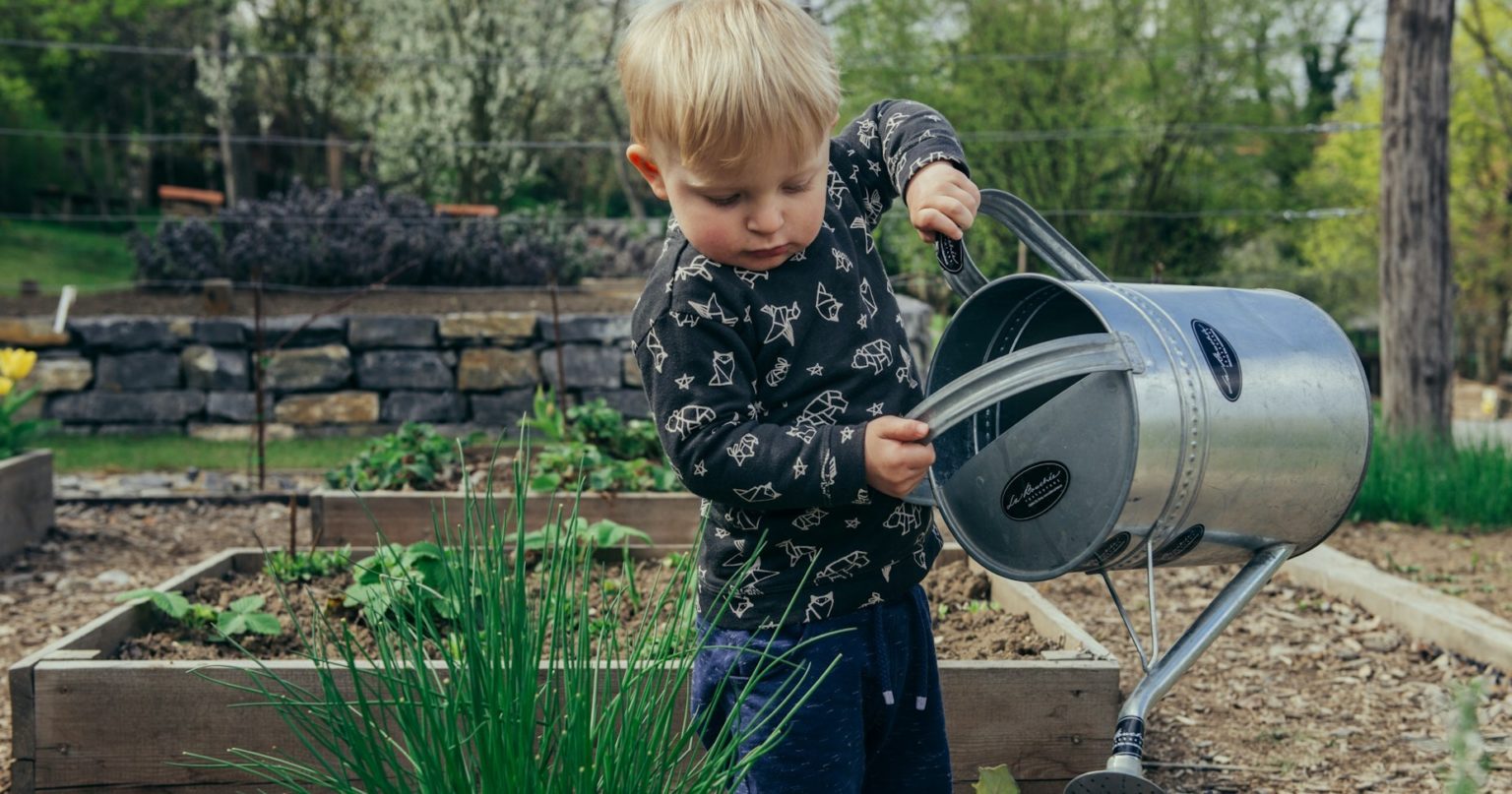 15 Excellent Plants Safe for Children In Your Garden - The Garden Magazine