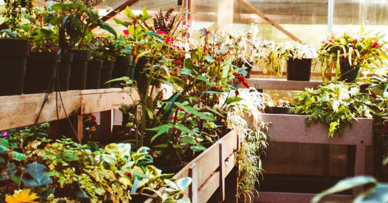 13 Ideas to Make a Small Vegetable Garden - The Garden Magazine