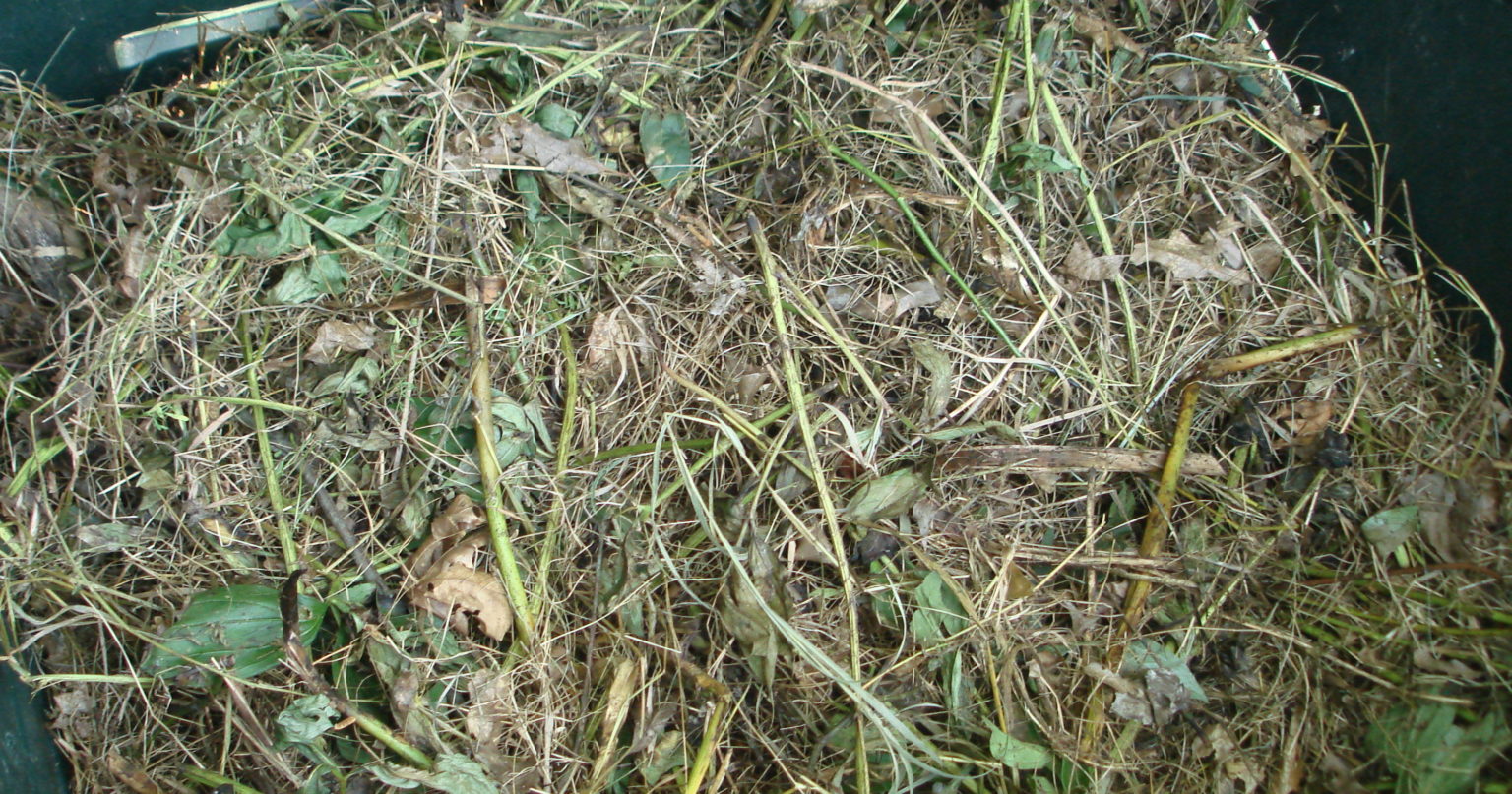 Winter Composting: How to Maintain a Productive Compost Pile in Cold ...