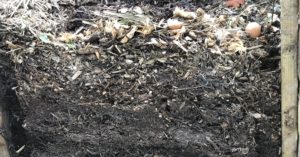 12 Steps to Prepare Your Compost Pile for Winter - The Garden Magazine