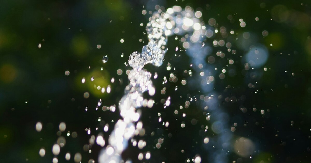 11 Hot Weather Watering Mistakes You Should Avoid - The Garden Magazine