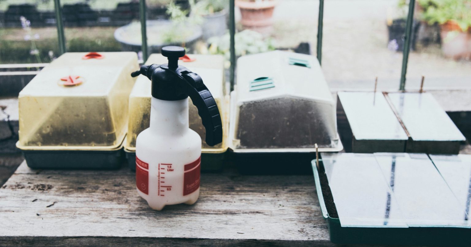 How To Fix And Prevent Tomato Root Rot - The Garden Magazine