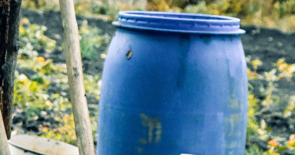 Top Tips for Storing Water for Long-Term Use - The Garden Magazine