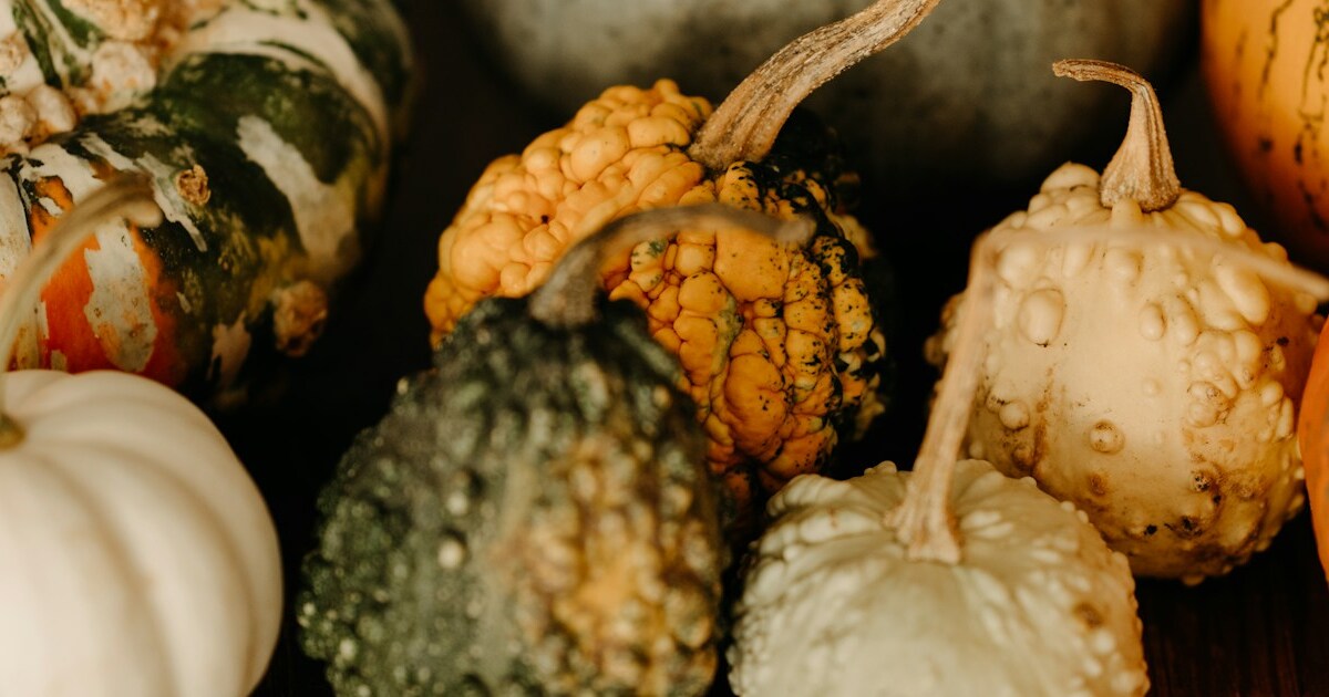 15 Ideas for Using Pumpkins and Gourds in Your Decor - The Garden Magazine