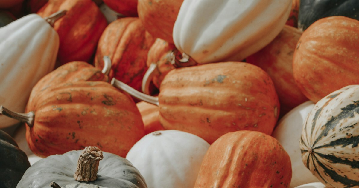 15 Ideas for Using Pumpkins and Gourds in Your Decor - The Garden Magazine