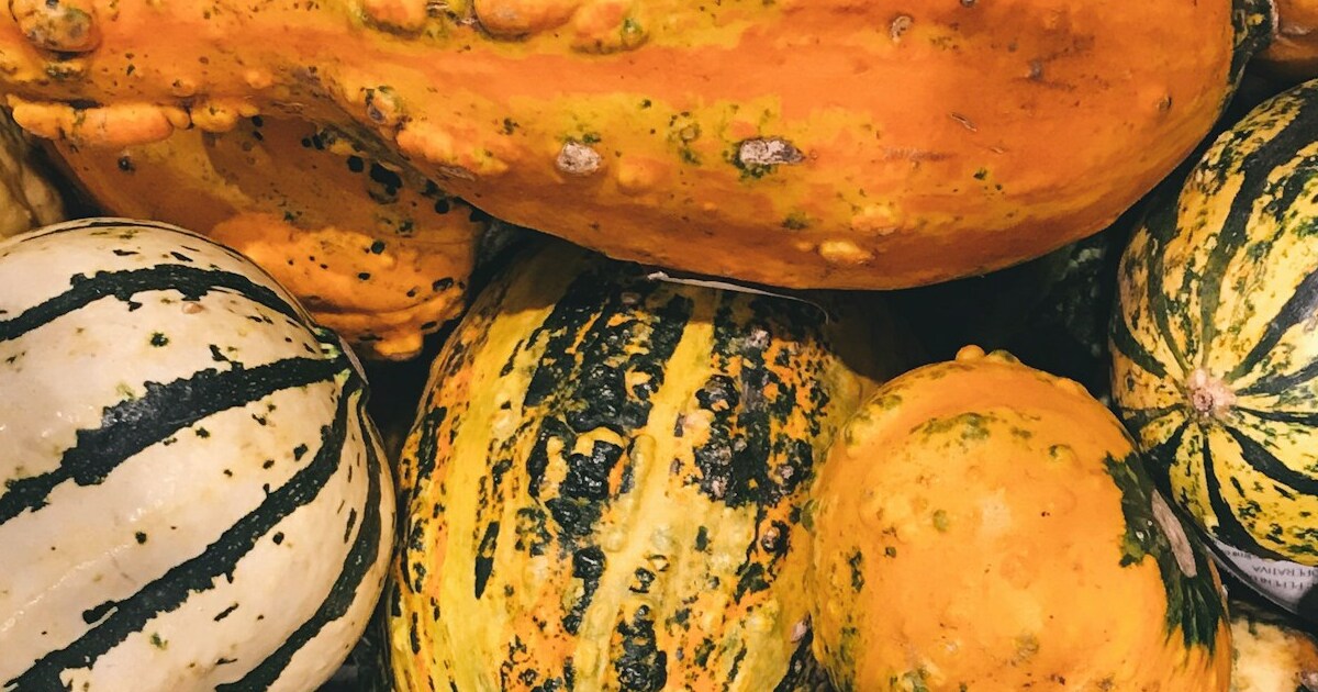 15 Ideas for Using Pumpkins and Gourds in Your Decor - The Garden Magazine