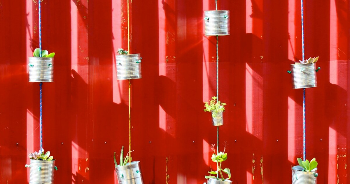 20 Ways to Display Indoor Plants Creatively - The Garden Magazine