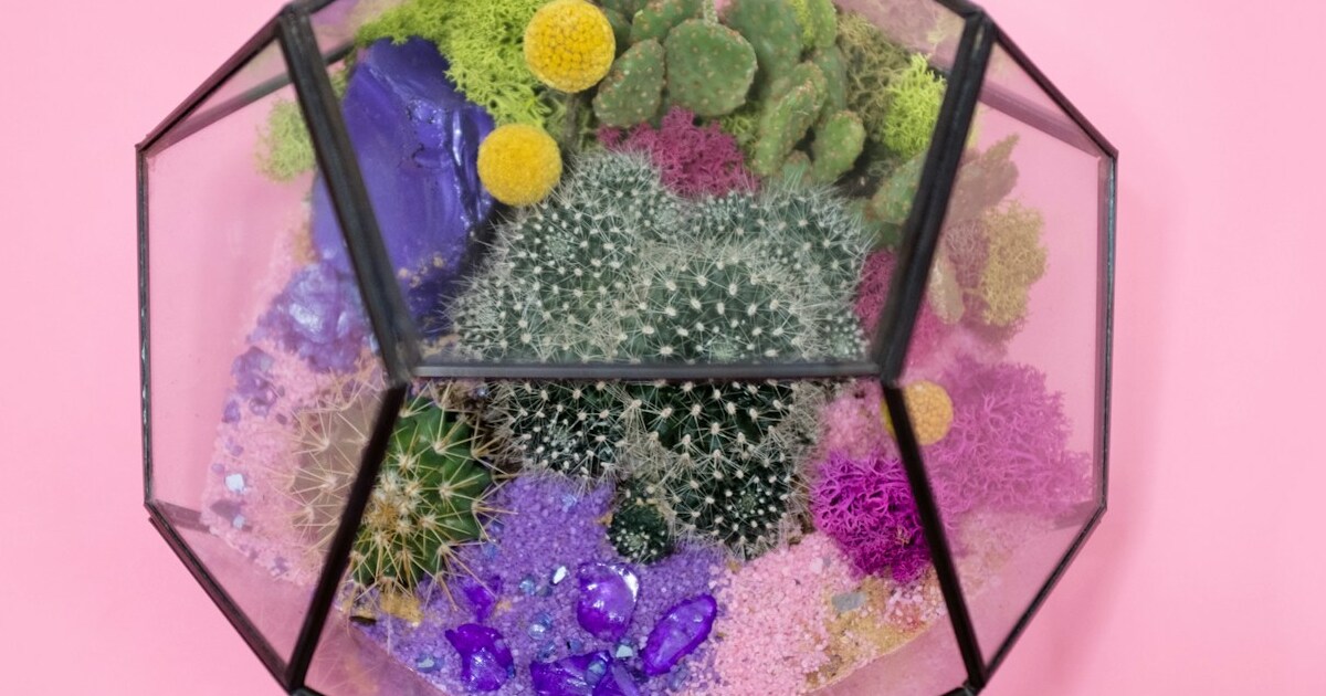 20 Ways to Display Indoor Plants Creatively - The Garden Magazine