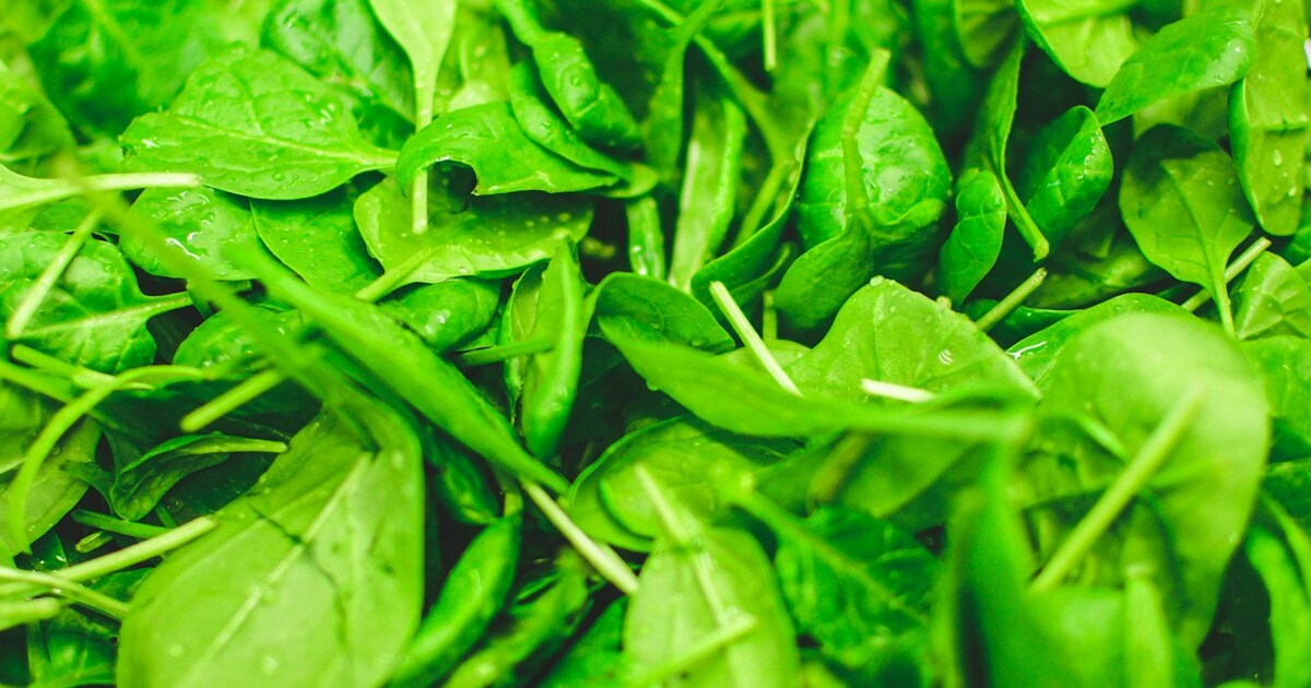 13 Uncommon But Delicious Vegetables To Grow This Year - The Garden ...