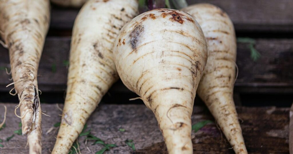 11 Must Know Gardening Rules For Growing Carrots And Parsnips Together ...