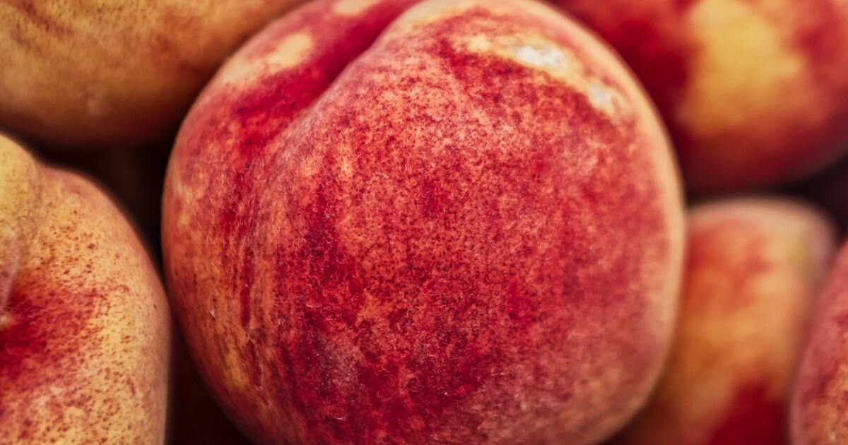 10 Signs Your Peaches Are Ready To Be Harvested - The Garden Magazine