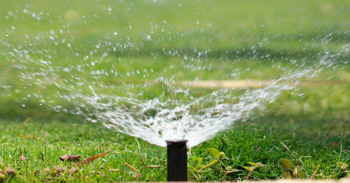 10 Tips for Watering Your Garden During a Drought - The Garden Magazine