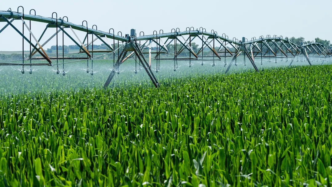 Why Rain Gauge Tracking Is Far More Accurate Than Watering on a Set ...
