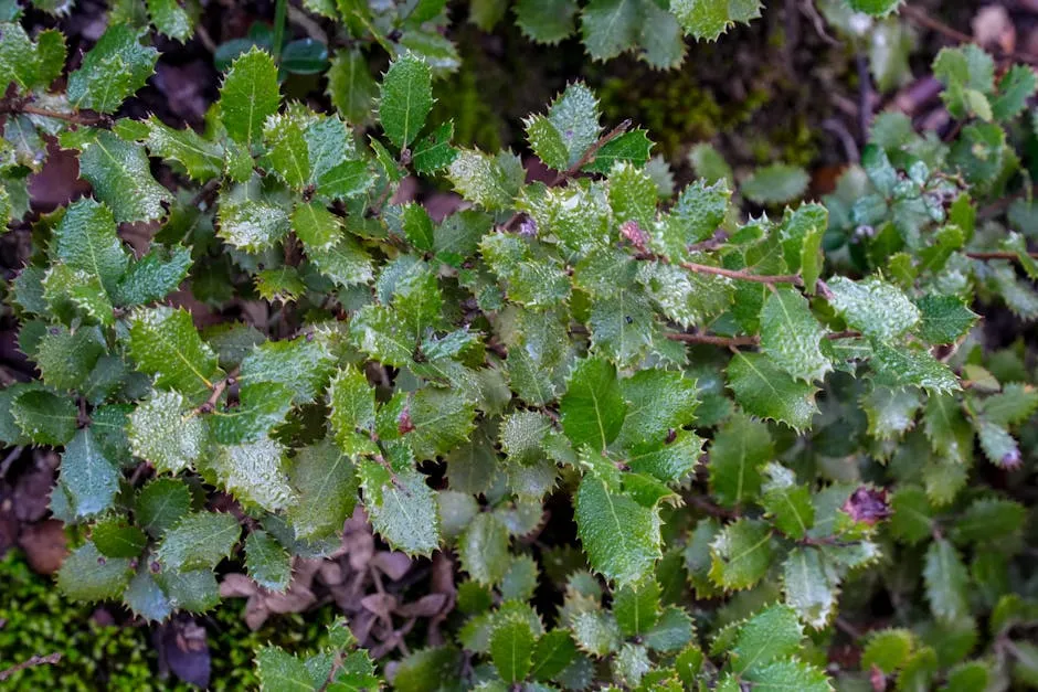 6 Striking Native Shrubs That Provide Crucial Winter Food for Birds ...